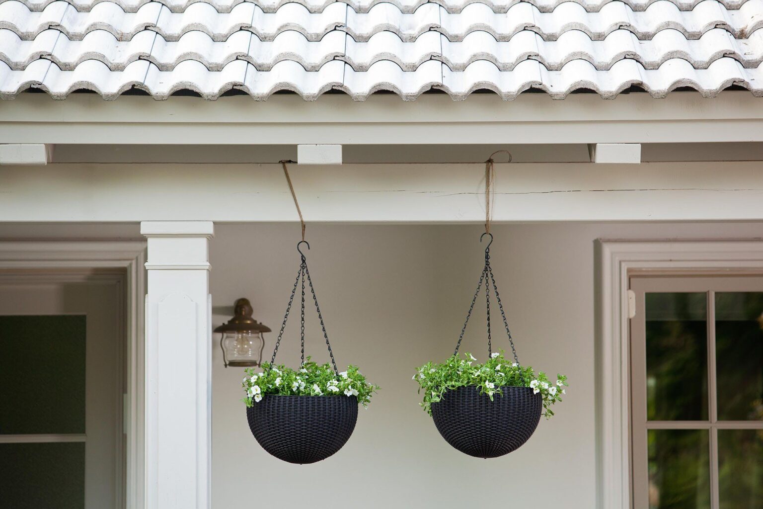 Growing Strawberries in Hanging Baskets: Complete Care Guide